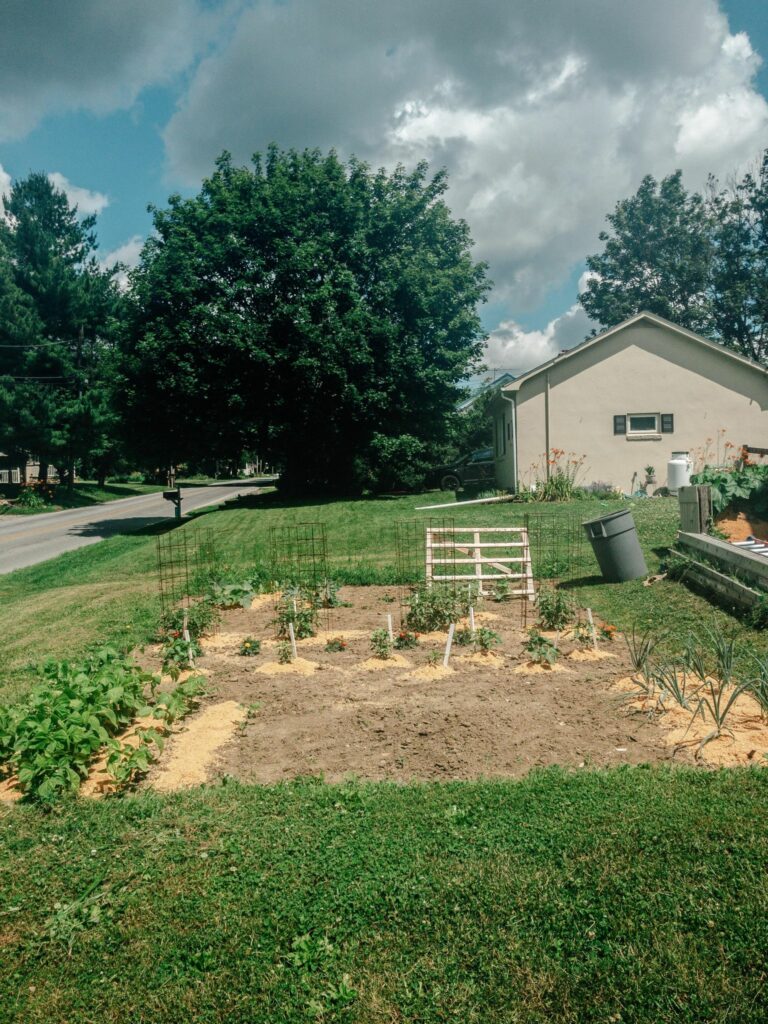 Can I Homestead on a 1/4 Acre? Be Passionate - and you can! - Chapel ...