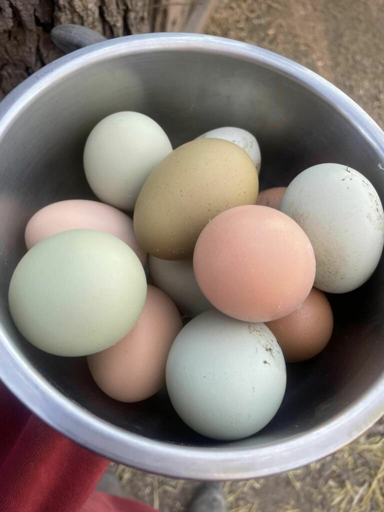 How to Waterglass Eggs in 2 Simple Steps